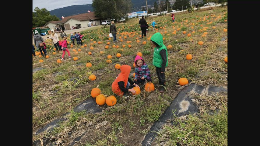 Welcome to Kaleden Elementary School | School District No. 67 (Okanagan ...